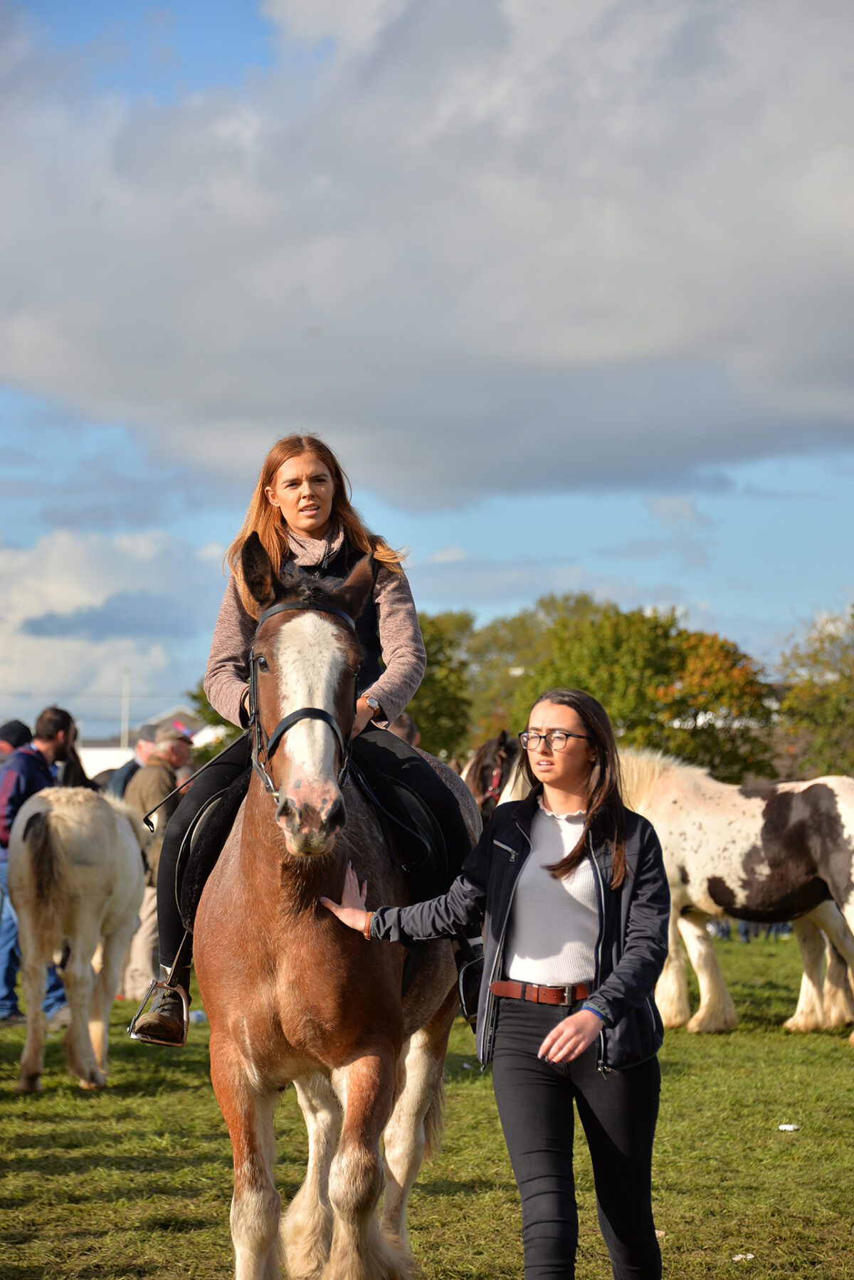 Ballinasloe Fair & Festival – October 5th – October 12th 2025