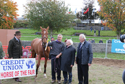 Ballinasloe Fair & Festival – October 5th – October 12th 2025