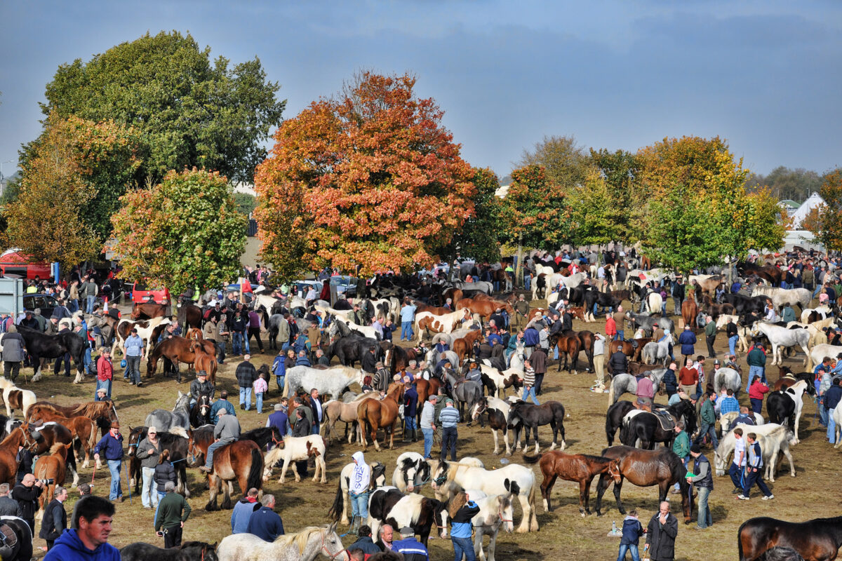 Our Story – Ballinasloe Fair & Festival